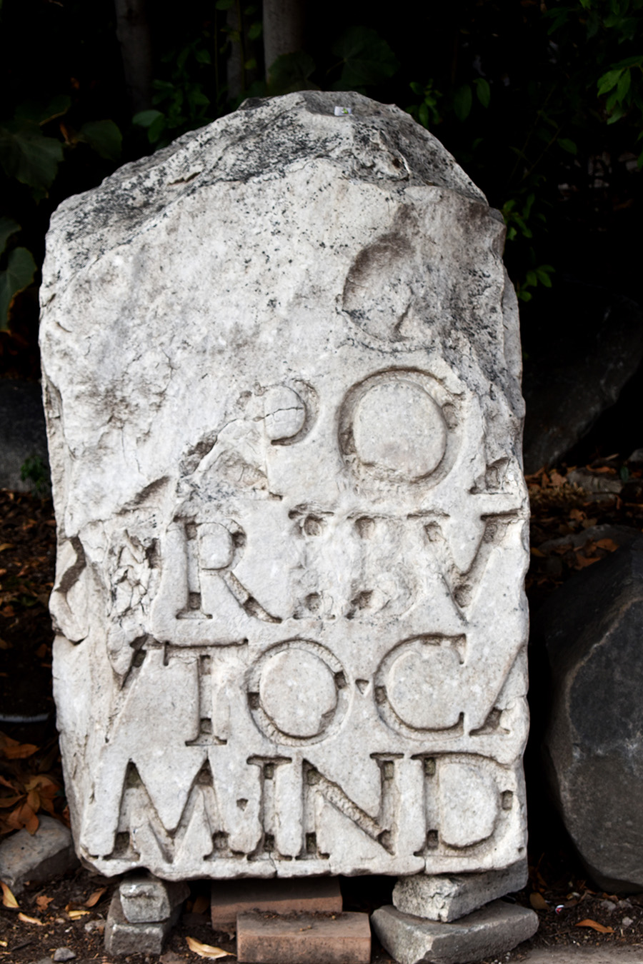 Font Trajan Where Did It Come From Innovative Signs